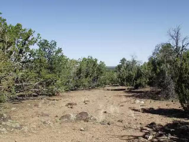 837 E Jackpine Ln #47, Williams, AZ 86046 MLS 197149