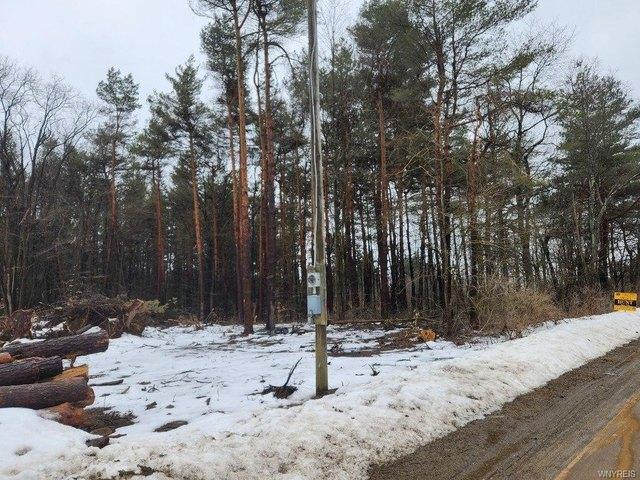 837 Palmer Rd, Franklinville, NY 14737