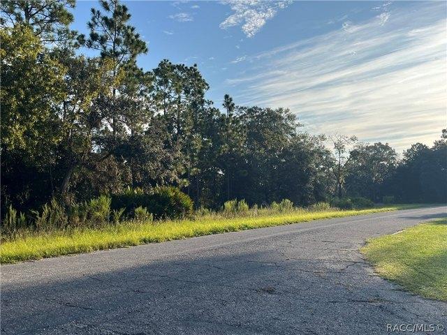 837 W Hummingbird Dr, Citrus Springs, FL 34434