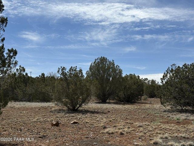 8389 Bear Meadow Dr, Show Low, AZ 85901