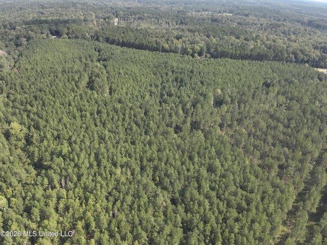 838 MS 43, Oak Vale, MS 39656