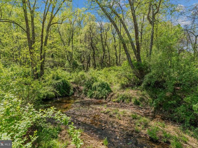 8396 Rixeyville Rd, Rixeyville, VA 22737 | MLS #VACU2013
