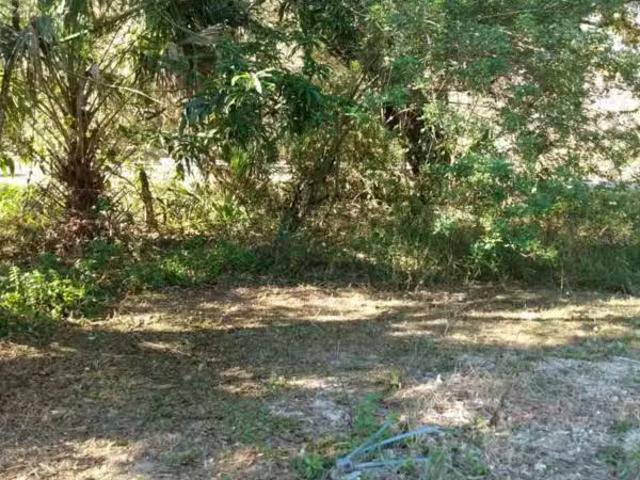 839 CALOOSAHATCHEE AVE, LABELLE, FL 33935 Vacant Land For Sale.
