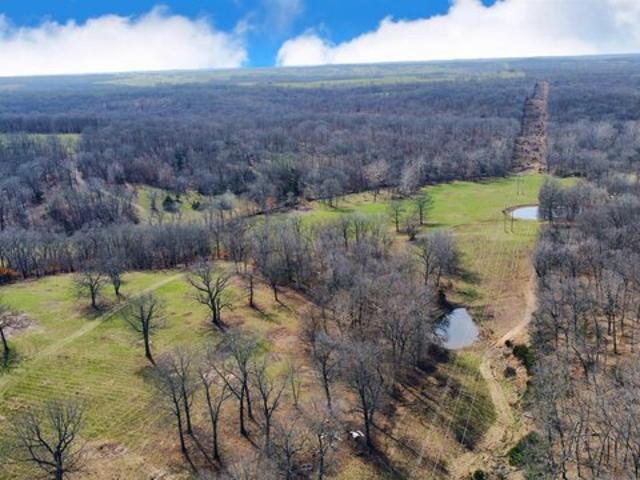87.3 Acres State Ff Rd, Edwards, MO 65326