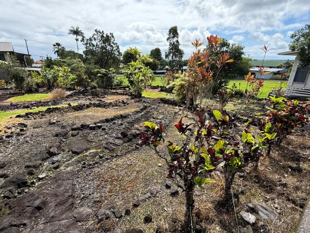 87 Terrace Dr, Hilo, HI 96720 | MLS #729612