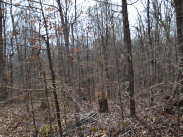 87+/ ac Boles Rd