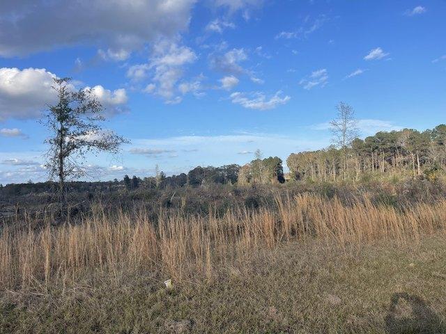 87 Ac Jack Kerley Rd, Bassfield, MS 39421