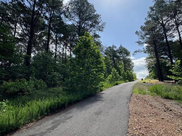 87 Blue Maple Trail