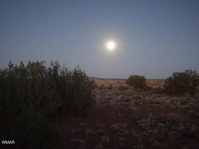 87 County Road 5311, Concho, AZ 85924
