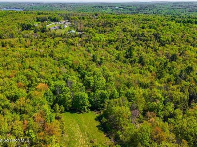 87 Goose Pond Rd, Lake Ariel, PA 18436