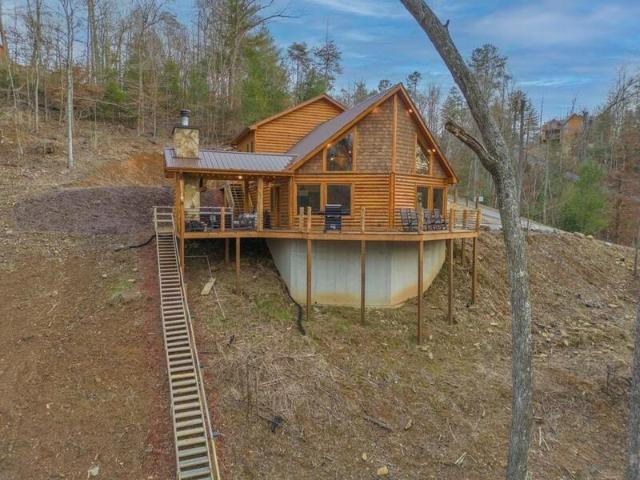 87 Lonesome Dove Path, Blue Ridge, GA 30513