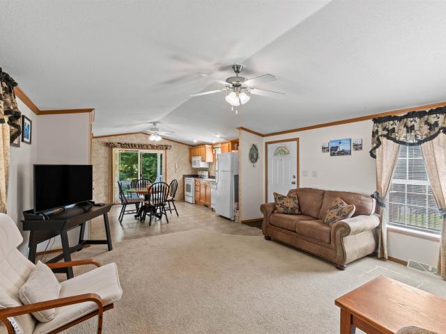 87 Loon Mountain Lane