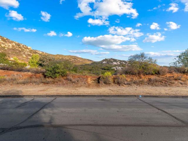 87 Presilla Dr, Jamul, CA 91935 | MLS #250046 SD