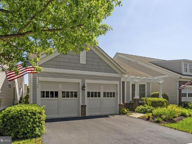 8404 Mountain Larkspur