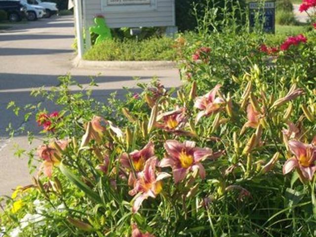 8408 Hague Rd, Indianapolis, IN 46256