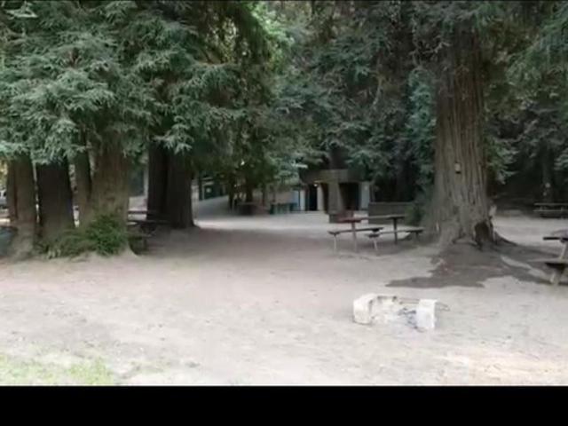 8400 River Rd, Forestville, CA 95436