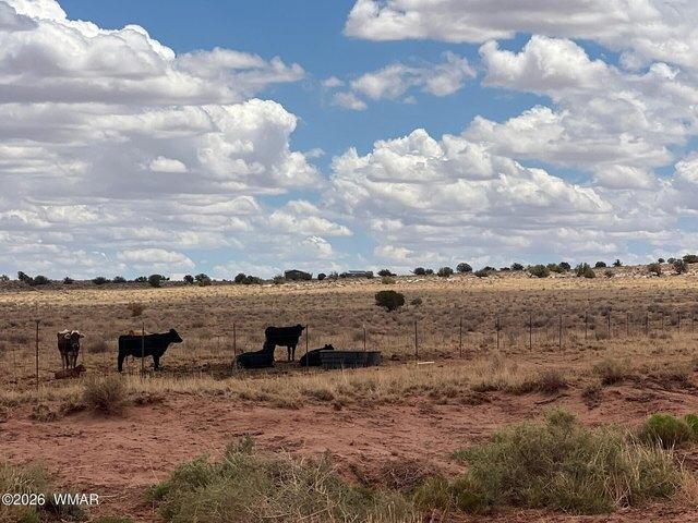 8400 8 and 8357 Terry Trl, Snowflake, AZ 85937