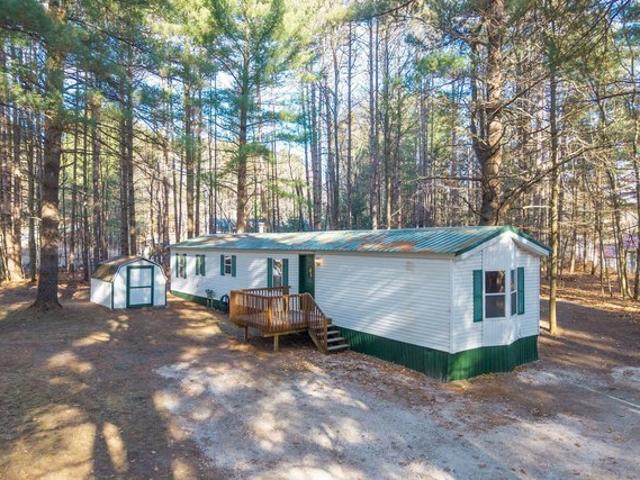 8401 Independence Ave, Cadillac, MI 49601