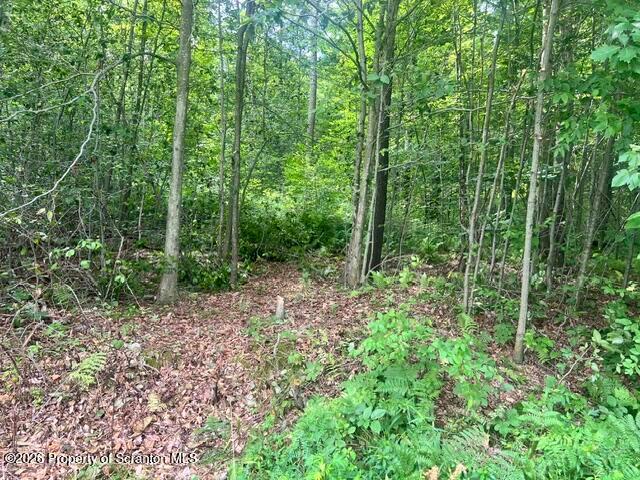 840 Maplewood 1.43 Acre lot Road