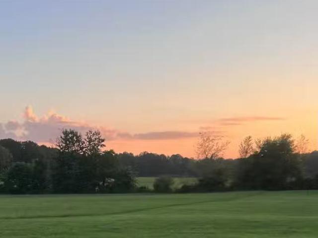8411 DANIEL TRL LOT 36, DORA, AL 35062