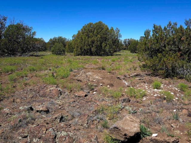 8411 Javelina Drive