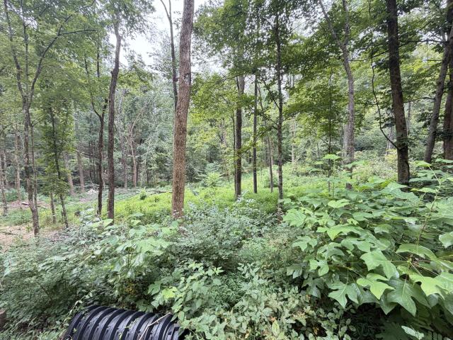 8411 Poplar Creek Rd