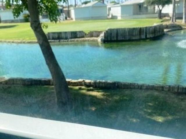 84136 Avenue 44 Spc 712, Indio, CA 92203