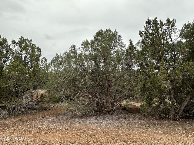 8427 Cochise Cir, Show Low, AZ 85901