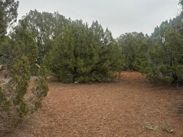 8427 Cochise Circle