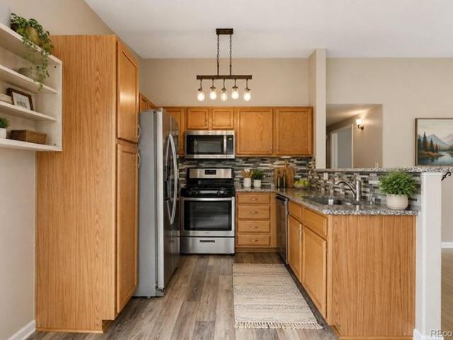 8427 Thunder Ridge Way Unit 203, Littleton, CO 80126