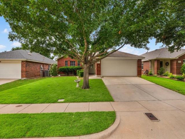 8421 Cactus Flower Drive