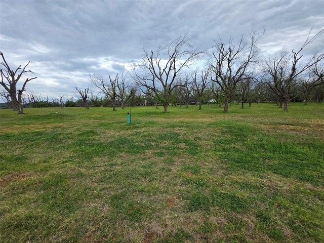 8421 W Landings Rd, Granbury, TX 76049