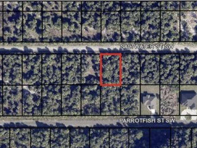 842 Saltwater St SW, Palm Bay, FL 32908