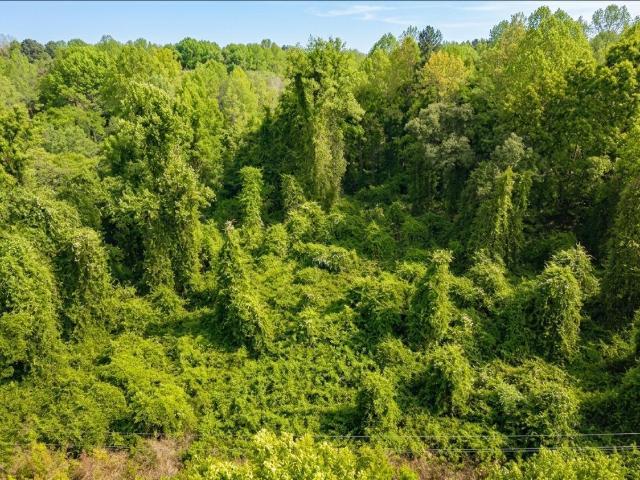 8438 Charlie Stovall Rd, Oxford, NC 27565 | MLS #10181