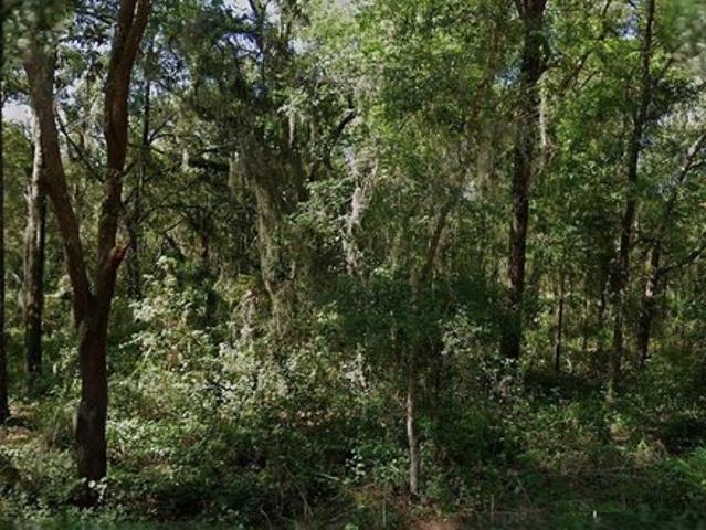 8430 W Rainbow Oaks Ct, Crystal River, FL 34428