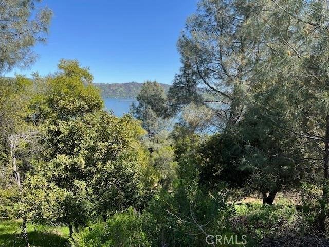 8444 Soda Bay Rd, Kelseyville, CA 95451