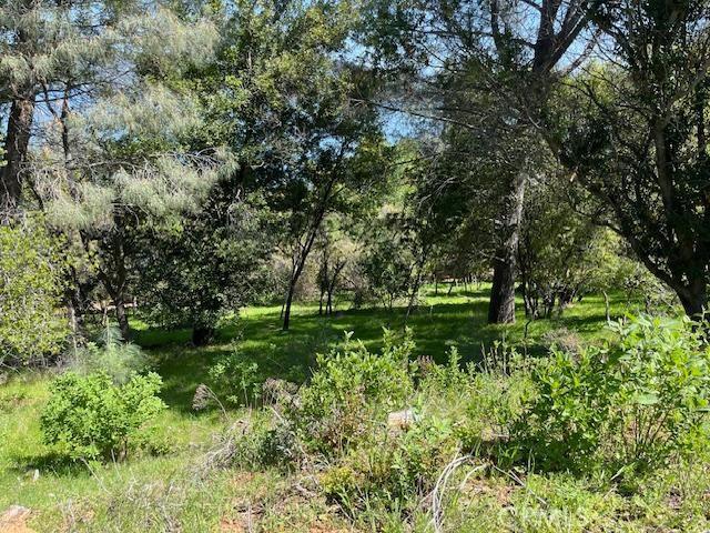 8444 Soda Bay Road