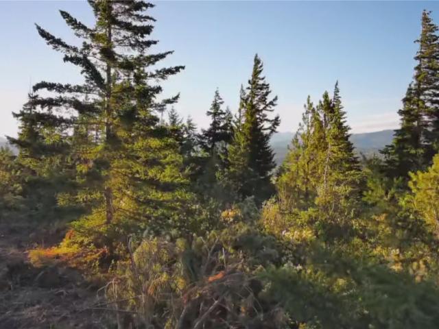 8440 Upper Peoh Point Rd
