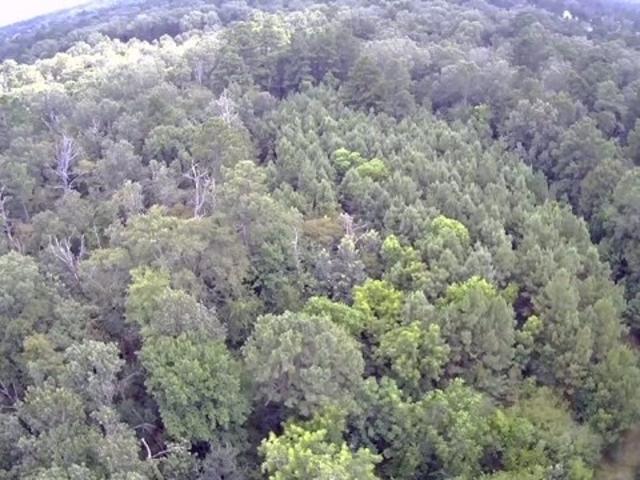 844 Pd Selman Rd, Lufkin, TX 75901 | MLS #37055 | Compass