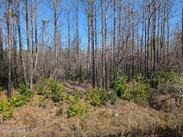 844 W Boiling Spring Rd, Boiling Spring Lakes, NC 28461