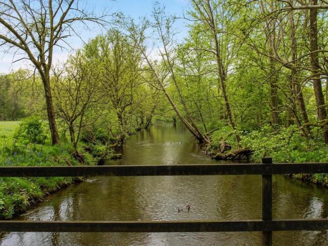 845 Raccoon Ridge Road