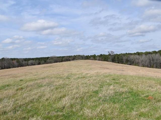 8461 FM 19, Palestine, TX 75803