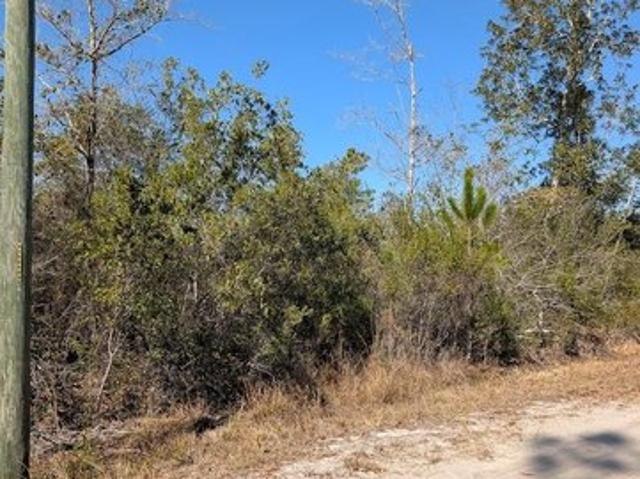 846 Hickory Hammock Rd, Carrabelle, FL 32322