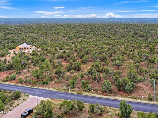8476 Mogollon Trl Unit 110, Happy Jack, AZ 86024