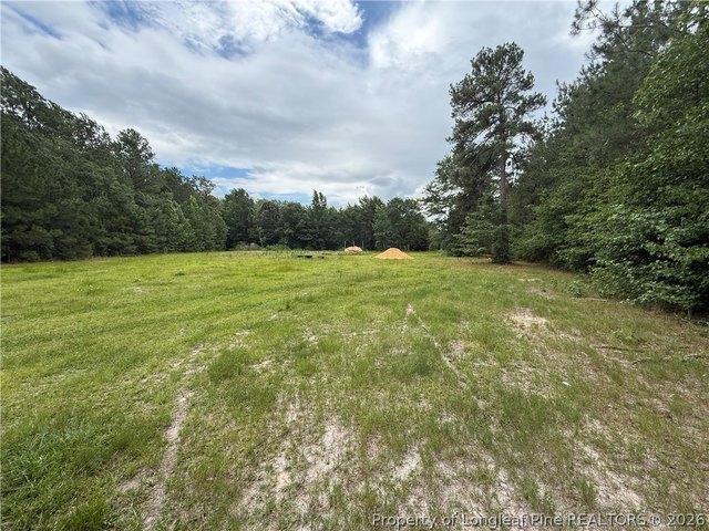 8476 Beaver Dam Rd, Autryville, NC 28318