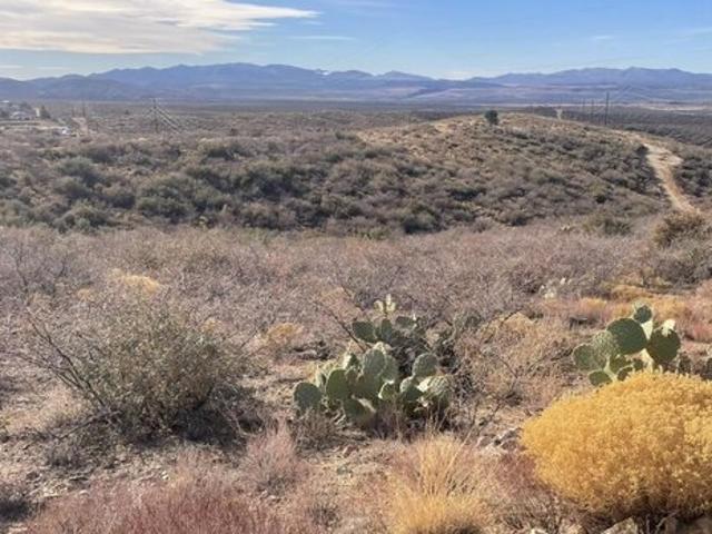 8470 W Webster Rd, Wilhoit, AZ 86332