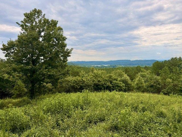 847 Eads Bluff Rd NW, Georgetown, TN 37336