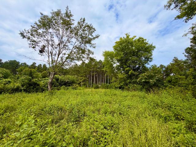 847 Eads Bluff Road NW
