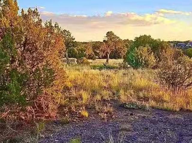 8486 Cannon Blvd, Show Low, AZ 85901 MLS 253386