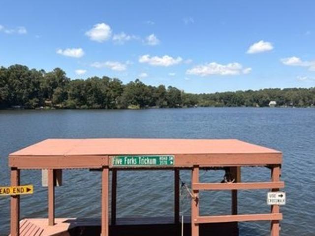 8486 Lake Dr, Snellville, GA 30039